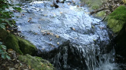 Nature Stock Footage ~ Royalty Free Stock Videos | Pond5