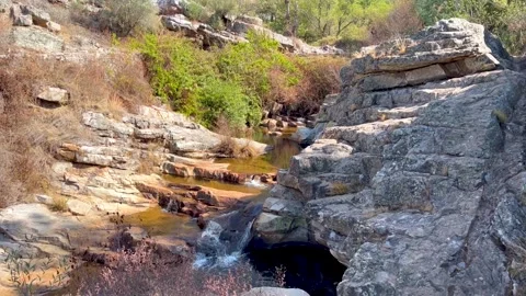 Green Inferno Streaming Stock Videos – Royalty-Free HD & 4K Videos