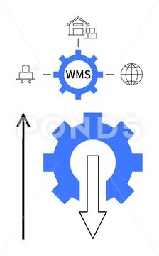 Streamlined Warehouse Management System Workflow with Global Connectivity Illustration #295137272