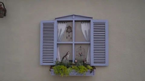 Street Art Wall Graffiti window Painting... | Stock Video | Pond5