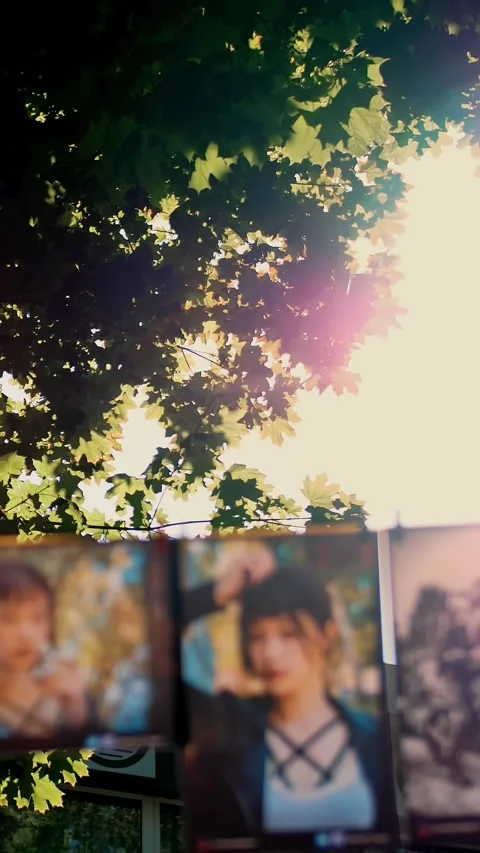 Photo Backdrop Decoration Stock Videos – Royalty-Free HD & 4K Videos