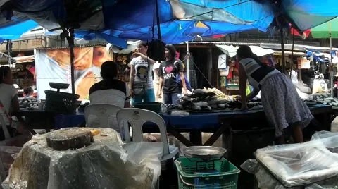 Messy Thhe Fish Stock Videos – Royalty-Free HD & 4K Videos | Pond5