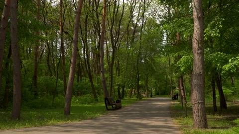 Street in the park for the background. S... | Stock Video | Pond5