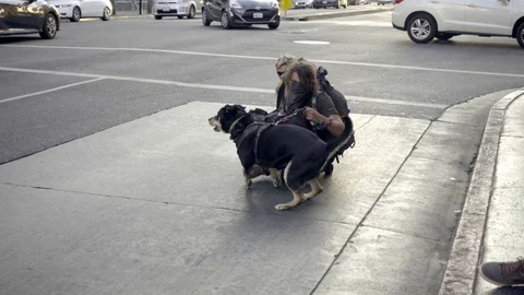 People Pulling Down Stock Videos – Royalty-Free HD & 4K Videos