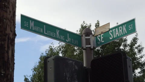 King Roll Off Stock Videos – Royalty-Free HD & 4K Videos