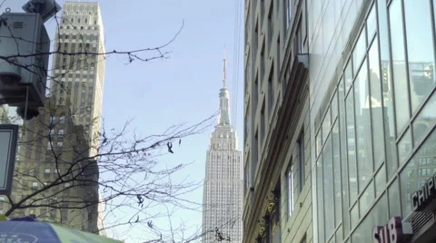 Dogs Back Hot Stock Videos – Royalty-Free HD & 4K Videos | Pond5