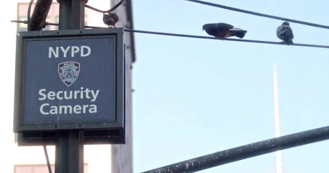 Streets of NYC, NYPD Security Camera, Pi... | Stock Video | Pond5