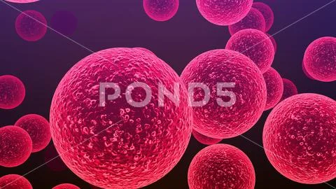 Streptococcus bacteria responsible for bacterial pneumonia and other ...