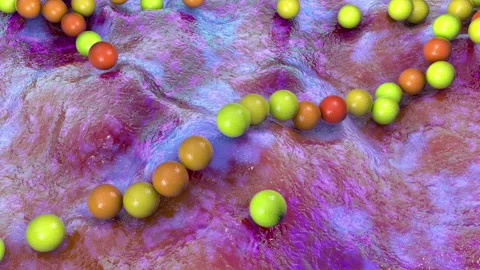 Streptococcus pyogenes bacteria, animati... | Stock Video | Pond5