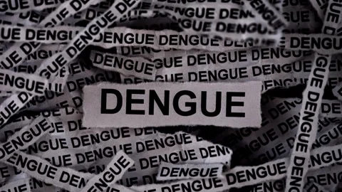 Strips of newspaper with the word Dengue... | Stock Video | Pond5