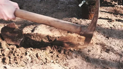 Sounf Garden Stock Footage ~ Royalty Free Stock Videos | Pond5