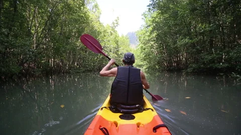 Strong Man Trees Stock Videos – Royalty-Free HD & 4K Videos