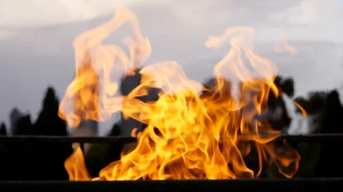 Strong fire and city in the background | Stock Video | Pond5