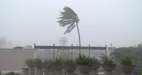 Strong Wind Stock Video Footage | Royalty Free Strong Wind Videos | Pond5