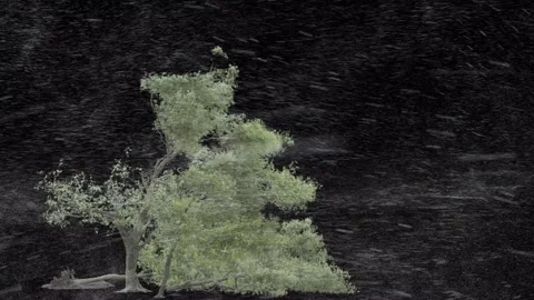 Strong wind bends and break trees on alp... | Stock Video | Pond5