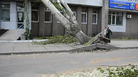 Strong My Videos Stock Videos – Royalty-Free HD & 4K Videos