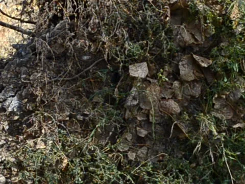 Strong My Videos Stock Videos – Royalty-Free HD & 4K Videos