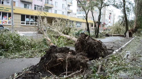 Strong My Videos Stock Videos – Royalty-Free HD & 4K Videos