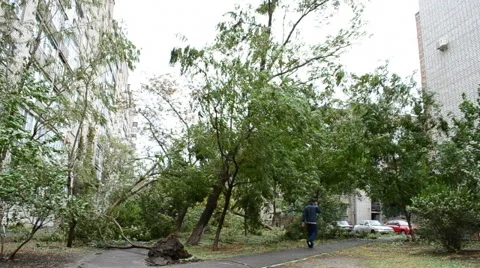 Strong My Videos Stock Videos – Royalty-Free HD & 4K Videos