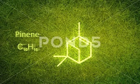 Structural chemical formula of alpha-pinene, an organic compound of the ...