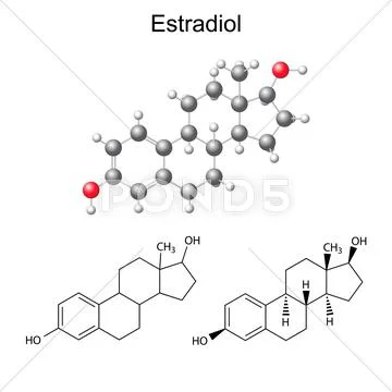 Structural chemical formulas and model of estradiol molecule: Graphic ...