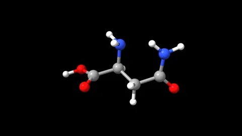 Structure of the amino acid DL-asparagin... | Stock Video | Pond5