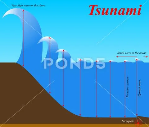 The structure of earthquake Tsunami. Education chart of natural ...