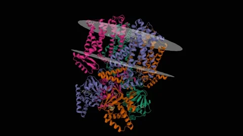 Structure of human HCN1 channel in a hyp... | Stock Video | Pond5