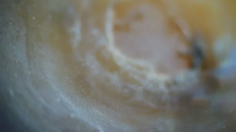 Structure of natural pearls under micros... | Stock Video | Pond5