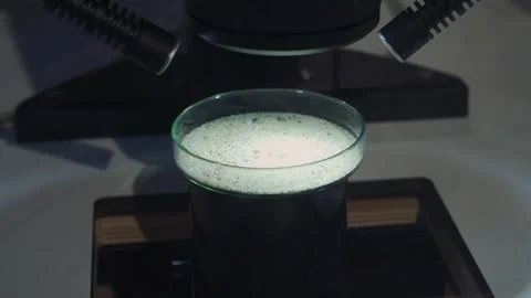 Electron Microscope Stock Footage ~ Royalty Free Stock Videos | Pond5