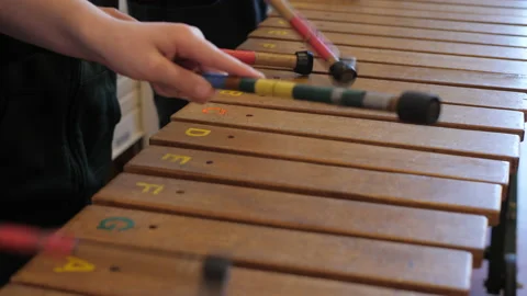 Xylophone Music Stock Footage ~ Royalty Free Stock Videos | Page 2