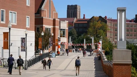Students walk on University of Tennessee... | Stock Video | Pond5