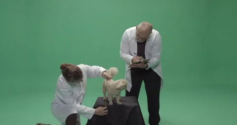 Lab Green Screen Stock Video Footage | Royalty Free Lab Green Screen ...