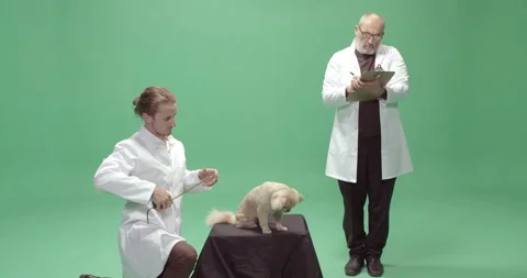 Lab Green Screen Stock Video Footage | Royalty Free Lab Green Screen ...