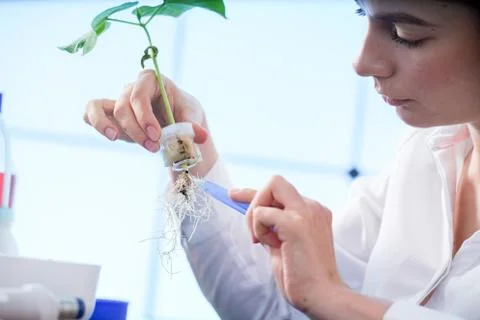 Free Stock Photos & Illustrations | Pond5