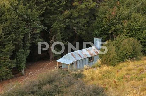 Photograph: Studys Hut, shelter at the Breast Hill Track Basic hut on a ...