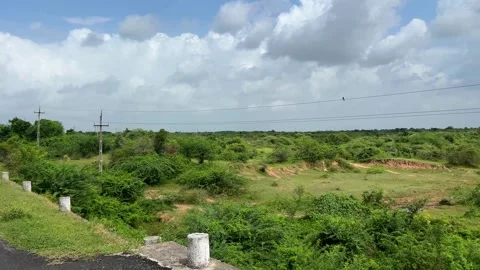 Video Catpture Stock Videos – Royalty-Free HD & 4K Videos