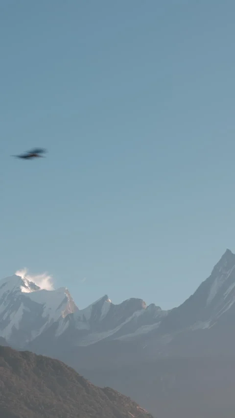 Fame Stunning Stock Videos – Royalty-Free HD & 4K Videos | Pond5