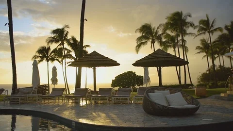 Among Picture Stock Videos – Royalty-Free HD & 4K Videos | Pond5