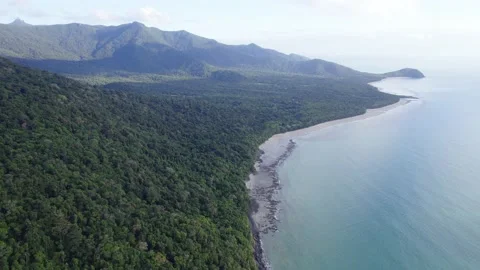 Stunning View Of Tropical Rainforest At ... | Stock Video | Pond5