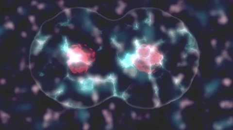 Cancer Cells Multiplying Stock Video Footage | Royalty Free Cancer ...