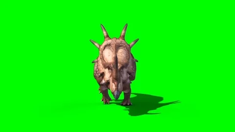Styracosaurus Triceratops Run Front Stat... | Stock Video | Pond5