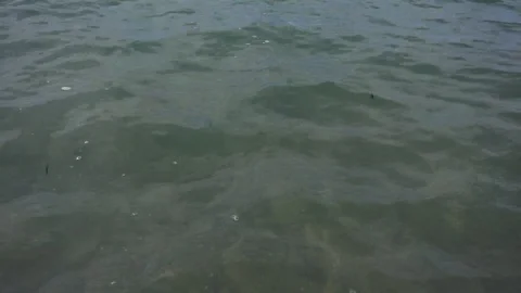 Submerging Stock Video Footage | Royalty Free Submerging Videos | Pond5