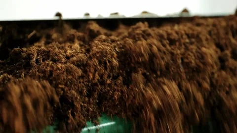 Substrate preparation for cone seedlings... | Stock Video | Pond5