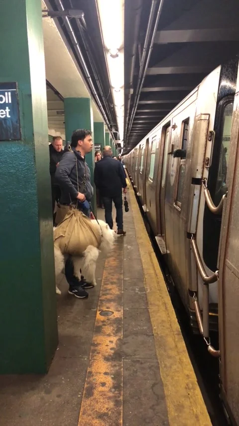 F1 Conductor Stock Footage ~ Royalty Free Stock Videos | Pond5