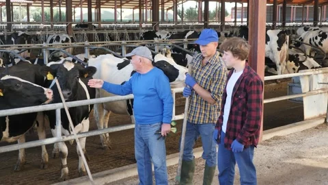 Successful elderly dairy farm owner with... | Stock Video | Pond5