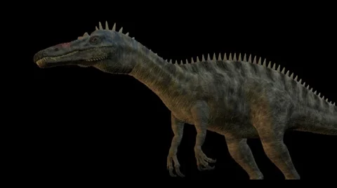 Dinosaur Transparent Background Stock Footage ~ Royalty Free Stock ...