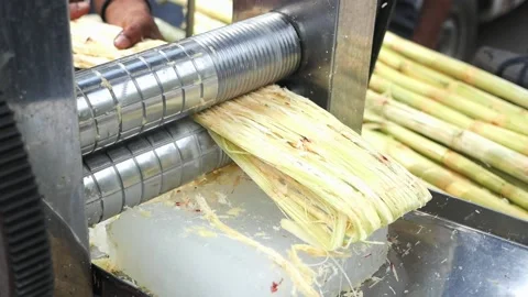 Sugarcane using to make sugar cane juice... | Stock Video | Pond5