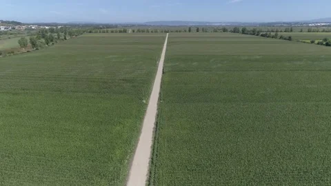 Summer Crops in European Farm Land Aeria... | Stock Video | Pond5