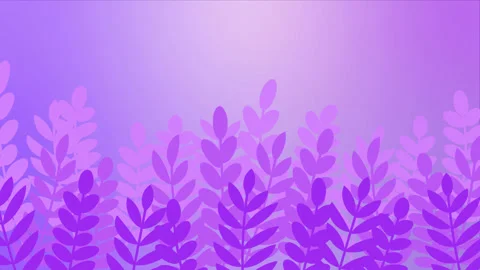 Leaf Border Pattern Stock Videos – Royalty-Free HD & 4K Videos